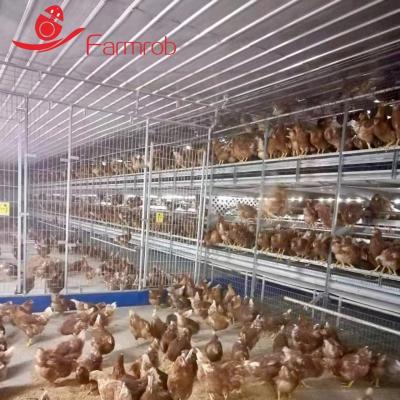 China 3-Tier Poultry Battery Cage System for Cage-Free Egg Production with Automatic Collection for sale