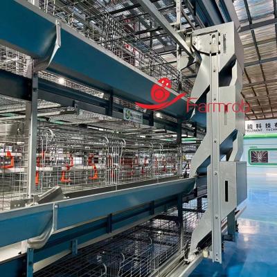 China H-Type Pullet Chicken Cage System 4-8 Tiers with 1800×600×450mm Dimensions and Automatic Feeding for sale