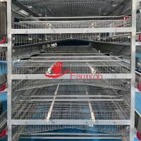 China Automatic 3 Tier 6 Tiers Quail Cage System 1800mm Length 625mm Depth for High-Efficiency Poultry Farming for sale