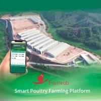 China Integrated Smart Poultry Farming Platform with 99.9% Egg Counting Accuracy and 12-24V Power Input for Enhanced Efficiency for sale