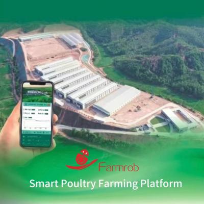 China Integrated Smart Poultry Farming Platform with 99.9% Egg Counting Accuracy and 12-24V Power Input for Enhanced Efficiency for sale