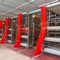 China Farmrob Poultry Manure Removal System with 600mm Width and 7mm Thick Belt for Efficient Farm Hygiene for sale