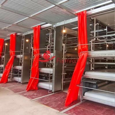 China Farmrob Poultry Manure Removal System with 600mm Width and 7mm Thick Belt for Efficient Farm Hygiene for sale