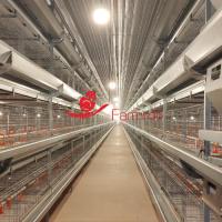 China Premium 4-Tier Poultry Cage System 1.8m x 0.6m Adjustable Chick Brooder with Automatic Feeding for sale