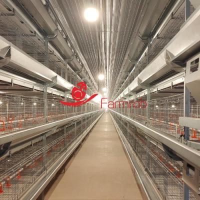 China Premium 4-Tier Poultry Cage System 1.8m x 0.6m Adjustable Chick Brooder with Automatic Feeding for sale