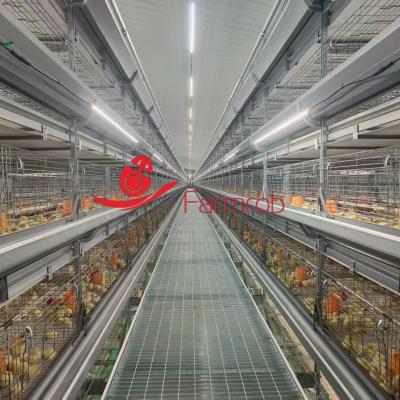 China 8-Tier Poultry Cage System for Baby Chickens 0-105 Days with 25-Year Durability and Automated Feeding for sale