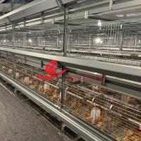 China 327 cm² 6-Tier Al-Zn-Mg Poultry Cage System 1800x600x450mm for Small Chicks with 15-20 Year Lifespan for sale