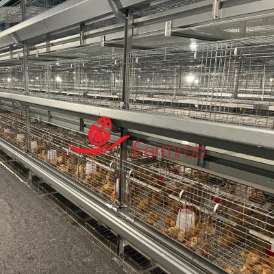 China 327 cm² 6-Tier Al-Zn-Mg Poultry Cage System 1800x600x450mm for Small Chicks with 15-20 Year Lifespan for sale