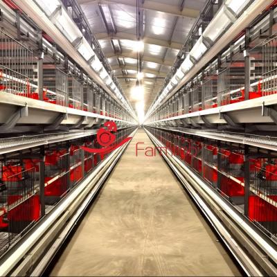 China Low Stress Breeder Rearing Cage System - 100 Bird Capacity with Al-Zn-Mg Alloy Construction for 15+ Year Lifespan for sale