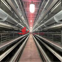 China Automatic Layer Chicken Cage System with 700mm Story Height and 13-15cm Top Net Clearance for Poultry Farming for sale