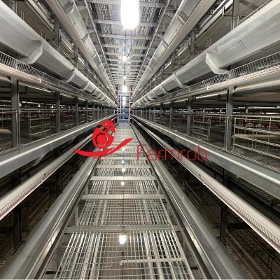 China 434 cm² Q235 Steel Layer Chicken Cage System with 700mm Story Height and 15+ Year Lifespan for sale