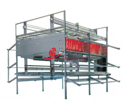 China 3-Tier Welfare Cage-Free System for Layers with Automatic Egg Collection and Bilateral Chain Feeding for sale