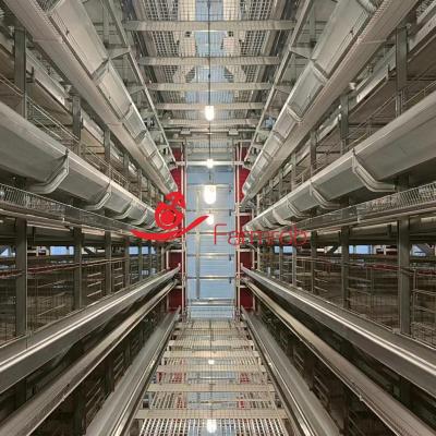 China 700mm Story Height Layer Chicken Cage System with 27 Bird Capacity and Automated Environmental Control for sale