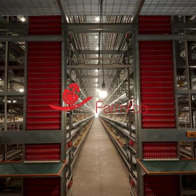 China Precision Layer Chicken Cage System with 434 cm² Bird Area, Automated Feeding & Manure Management for Large-Scale Poultry Farms for sale