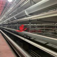 China H-Type Layer Chicken Cage System with 3-12 Tiers, 630×650×450mm Cells and 700mm Story Height for Low Mortality for sale