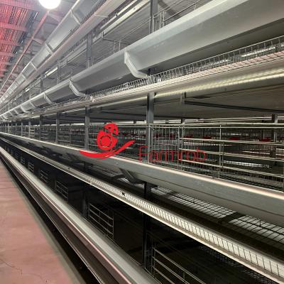 China H-Type Layer Chicken Cage System with 3-12 Tiers, 630×650×450mm Cells and 700mm Story Height for Low Mortality for sale