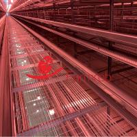China Farmrob Layer Chicken Cage System with 1.0mm Manure Belt & Advanced Removal Technology for Poultry Farming for sale