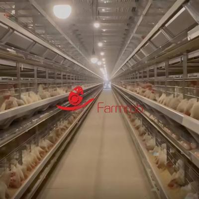 China Layer Chicken Cage System with 0.02% Egg Breakage Rate and 25-Year Lifespan for Poultry Farming for sale