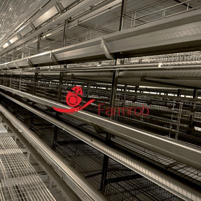 China H Type Layer Chicken Cage System with 700mm Story Height and 27-Bird Capacity for Enhanced Poultry Growth for sale