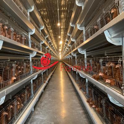 China H-Type Automatic Poultry Cage System with 25-Year Lifespan for Baby Chick Growth Optimization and Automated Feeding for sale