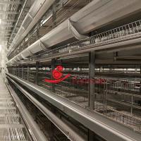 China CE H type Layer Chicken Cage System for Morocco Farm for sale