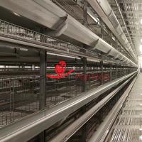 China Commercial H Type Layer Chicken Cage System Automatic Feeding Manure Removal 25 Year Lifespan for sale