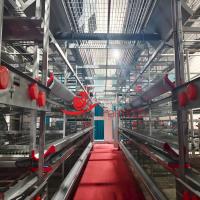 China Al-Mg-Zn Alloy Trough Layer Chicken Cage System 700mm Story Height 7W LED for sale