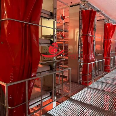China H Type Battery Chicken Cage 13-15cm Manure Belt Spacing Low Infection Poultry Equipment for sale