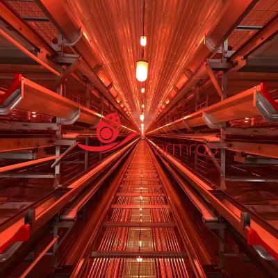 China H Type Layer Chicken Cage System 600x650x450mm Cell Size with Double Water Line and 25-Year Lifespan for sale