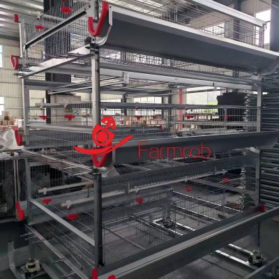 China Farmrob Automatic Layer Chicken Cage System 0.95mm Al-Mg-Zn Alloy for Poultry Farms for sale