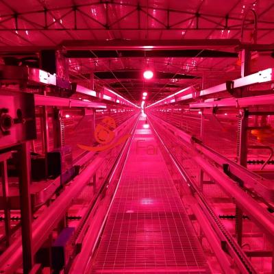 China H-Type Layer Chicken Cage System 0.95-0.98mm Mg-Al-Zn Alloy for Efficient Breeding for sale