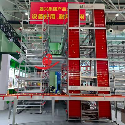 China H Type Automatic Layer Chicken Cage System 3-12 Tiers Real Time Monitoring for High Egg Yield for sale