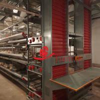 China High-End H Type Layer Chicken Cage System 700mm Story Height 15 Year Service Life for sale