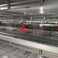 China 30000-60000 Bird Pullet Battery Cage System 1800mm Length 600mm Depth for sale