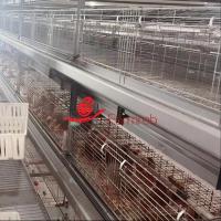 China 50000 Pullet Poultry Battery Cage System with 600×600×450mm Cages and Laser Bending Technology for sale