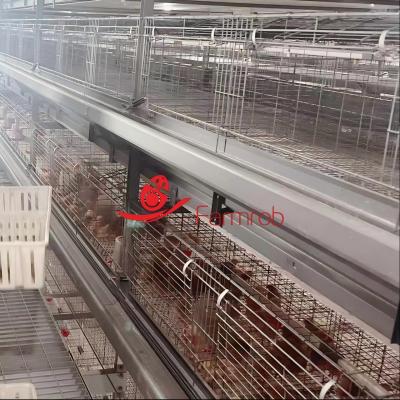 China 50000 Pullet Poultry Battery Cage System with 600×600×450mm Cages and Laser Bending Technology for sale