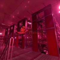 China Farmrob 60000 Bird Layer Chicken Cage System 9 Birds per Cell 3-12 Tiers for Russian Farms for sale