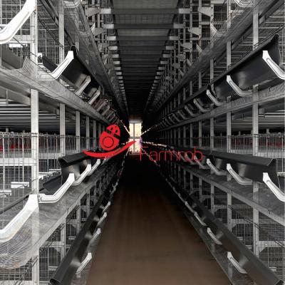 China 6 Tiers Layer Chicken Cage System Anti-Aging Materials 12000 Birds Capacity for Algeria for sale