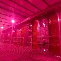 China 80000 H-type Layer Chicken Cage System Al-Zn Alloy Rust Resistance for UAE Farms for sale