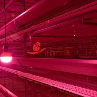 China 440 Middle Supports for Layer Chicken Cage System 40x30mm Al-Zn-Mg Alloy for sale
