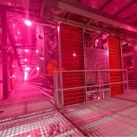 China 8-Tier Layer Chicken Cage System Zn-Mg-Al Alloy for Modern Poultry Farms for sale