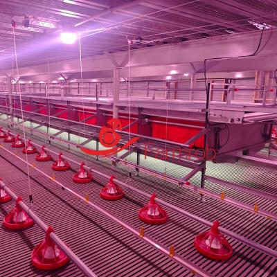 China Farmrob Single-Tier Aviary Cage-Free System for Poultry Farms - Open Structure Design with Automated Egg Collection for sale