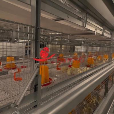 China 30000 Birds Poultry Battery Cage System 1.8m x 1.2m for Saudi Arabia Farms for sale