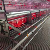 China Single-Tier Aviary System 2400mm for Cage Free Poultry Farming for sale