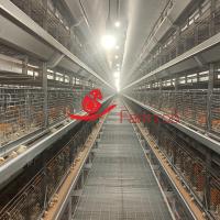 China 3-5 Tier Pullet Battery Cage System 700mm Height Q235 Al-Zn Alloy for Poultry Farm for sale