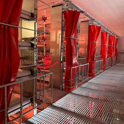 China Thorough Manure Removal Layer Chicken Cage System 50,000 Sets Monthly Capacity for sale