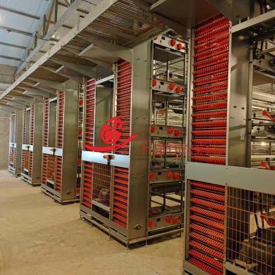 China H-Type Layer Chicken Cage System with Automated Feeding and Manure Removal for Russia Farms for sale