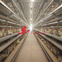 China H Type Layer Chicken Cage System 3-12 Tiers 1260x650x450mm for Commercial Egg Collection for sale