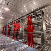 China Automatic Pullet Battery Cage System 15 Year Service Life Mg-Al-Zn Alloy for sale