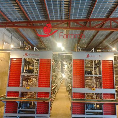 China H Type Layer Chicken Cage System High Density Rearing 15 Year Service Life for sale